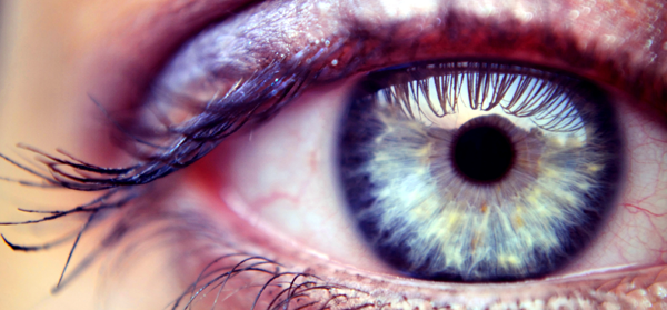 The Advantages of Visual Aids for Safety Training